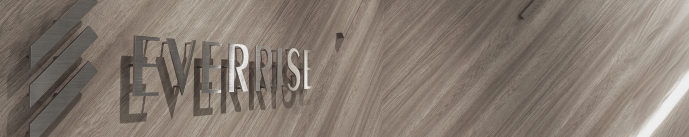 会社情報 | EVERRISE