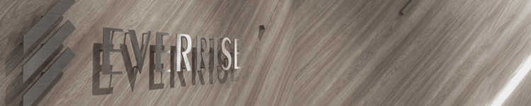 会社情報 | EVERRISE