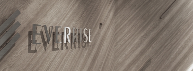 会社情報 | EVERRISE